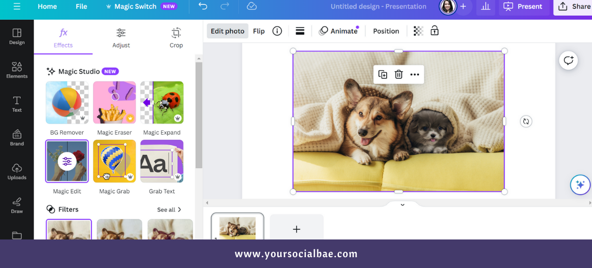 20+ New Canva Features To Blow Your Mind [September and October 2023 ...