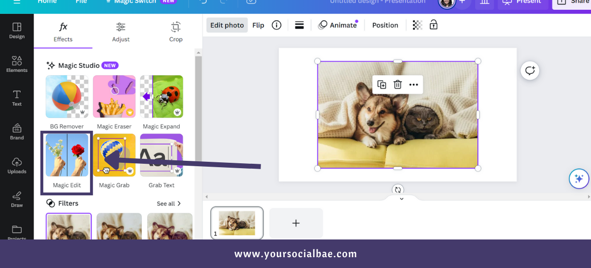 20+ New Canva Features To Blow Your Mind [September and October 2023 ...