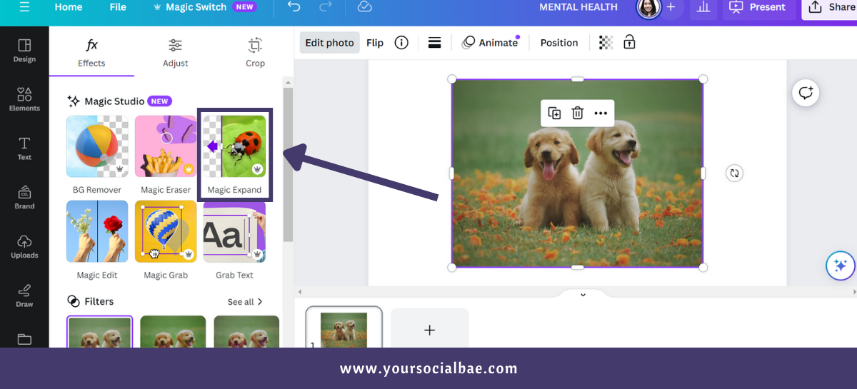 20+ New Canva Features To Blow Your Mind [September and October 2023 ...